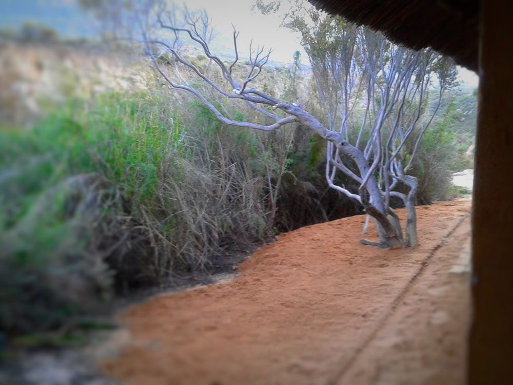 Waterfall Camp Private Site – Suikerbossie